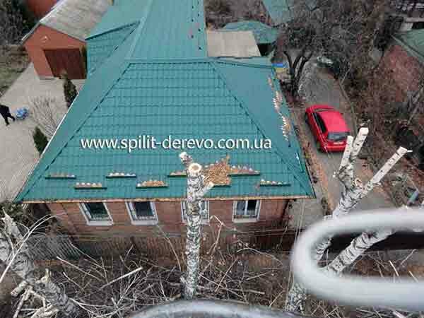 Şehir planlama Spilit derevo Kharkov SPDFL, Harkiv, foto