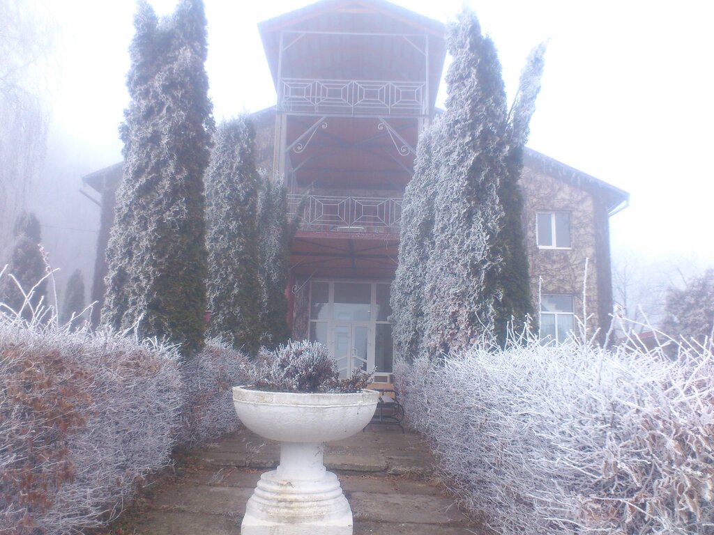 Tıp merkezleri ve klinikler Meditsinsky tsentr Mednean, Çernoviç, foto