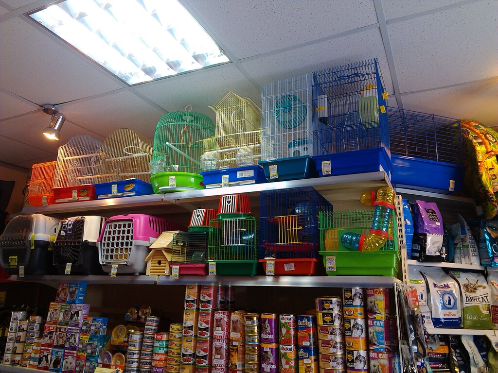 Petshop Koshechki & Sobachki, Balaşiha, foto