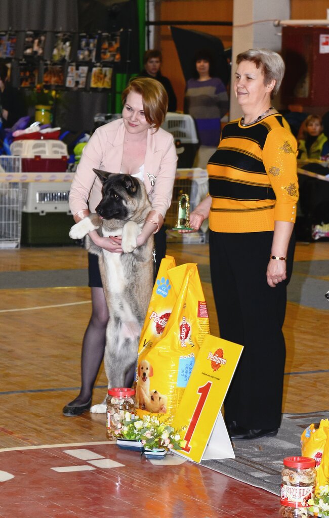 Hayvanat bahçesi merkezi Klub Lyubiteley Zhivotnykh, Mezhregionalny, OO, Pyatigorsk, foto