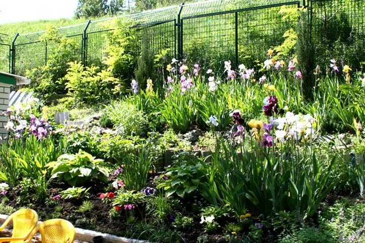 Resort oteller, tesisler Primorsky Dvorik, Donetsk Bölgesi, foto