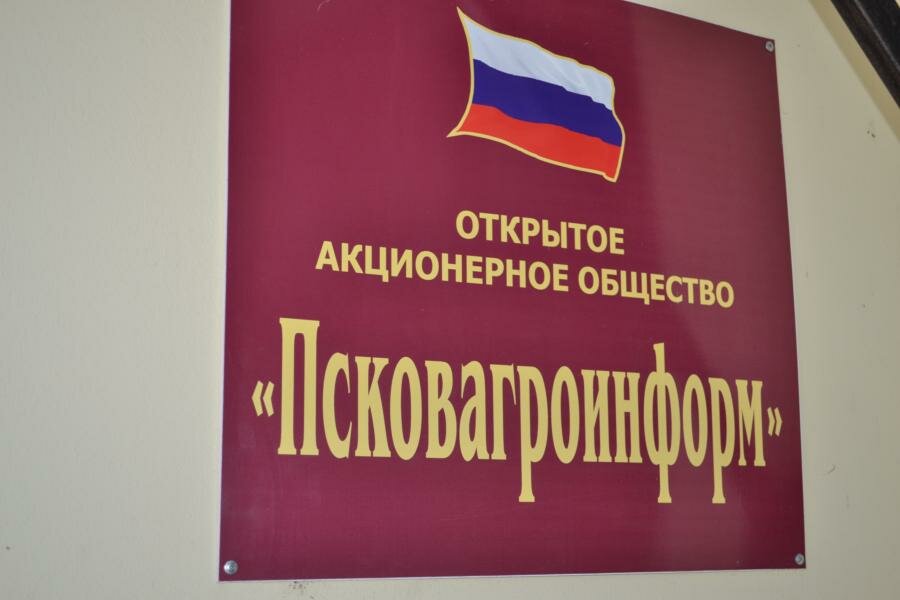 Bilişim firmaları Псковагроинформ, Pskov, foto