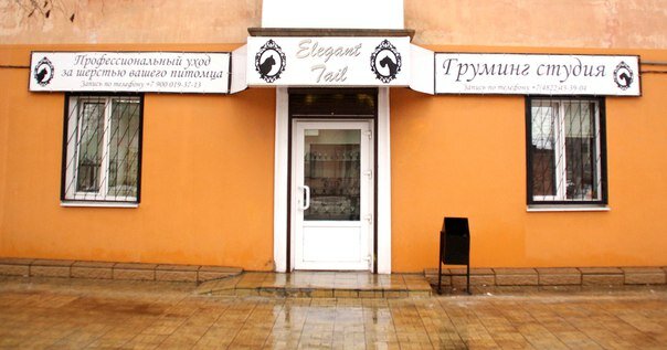 Evcil hayvan kuaförleri Elegant Tail, Tver, foto