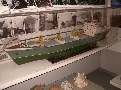 Müzeler ve sanat galerileri Novoaltaysky krayevedchesky muzey im. V. Ya. Marusina, Novoaltaysk, foto