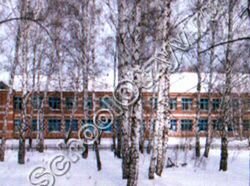 Ortaokul Kotochigovskaya srednyaya obshcheobrazovatelnaya shkola Mou, Tümen (Tiumenskaya) oblastı, foto
