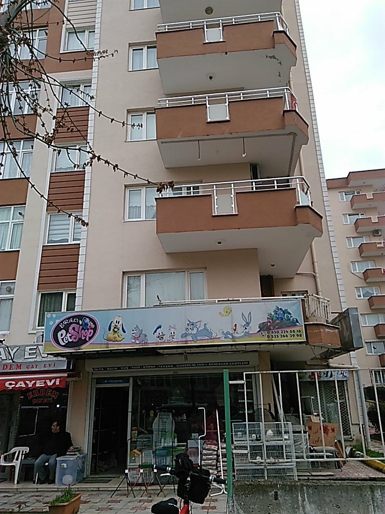 Petshop Erikli Akvaryum, Bursa, foto