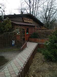 Kolobok (vulytsia Siaivo No:10, Lviv), bar  Lviv'den