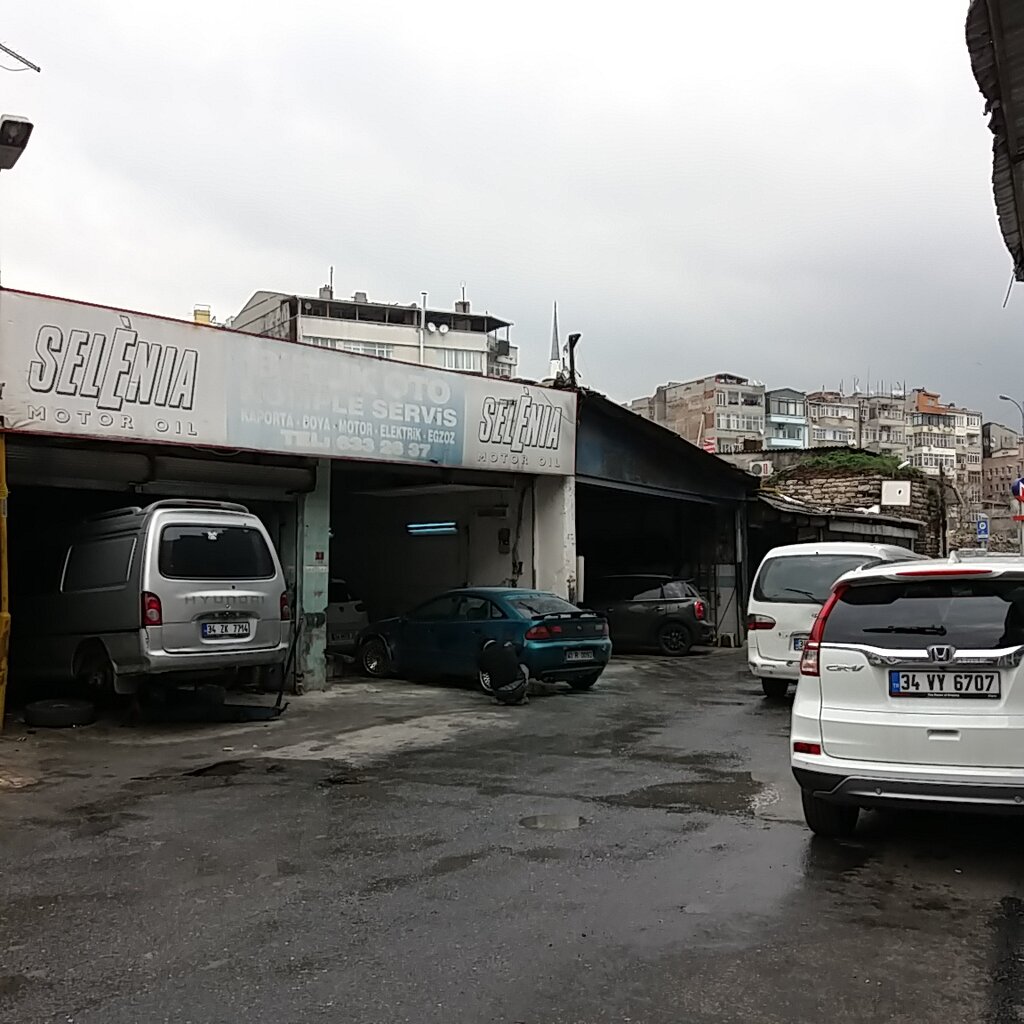 Otomobil servisi Birlik Oto, İstanbul, foto