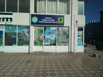 M-c Hayvancılık Tarım Veterinerlik Hizmetleri İnşaat Taahhüt Turizm Sanayi Ve Ticaret Limited Şirketi (Antalya, Döşemealtı, Atatürk Cad., 608), hayvancılık  Döşemealtı'dan