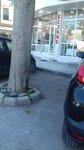 Eczane Buca Tunalı (Kozağaç Mah., 223. Sok., No:45, Buca, İzmir), eczaneler  İzmir'den
