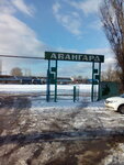 Avangard (Saratov, Kirovskiy rayon), stadyum  Saratov'dan