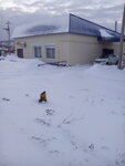 Продукты (Trudovaya ulitsa No:34), market  Oktiabrski'den