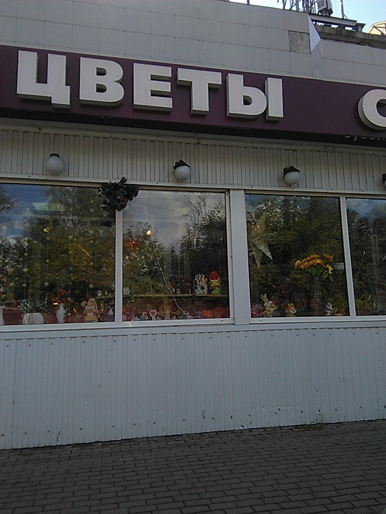 Çiçekçiler Magazin tsvetov, Balaşiha, foto