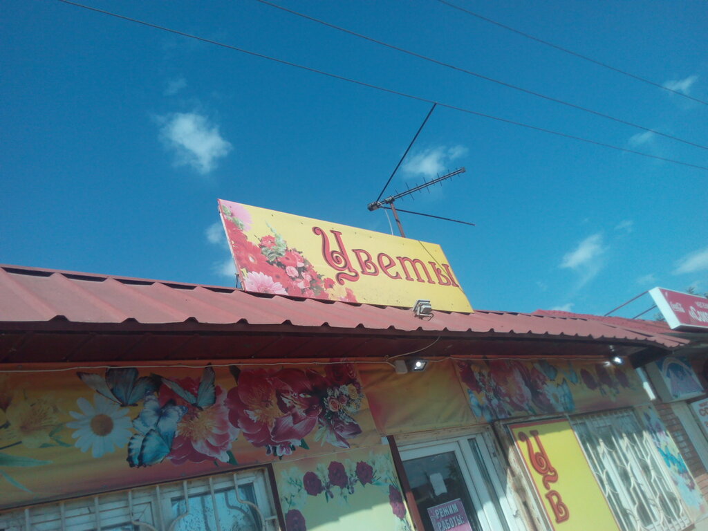 Online pazar yeri Magazin tsvetov, Astrahanskaya oblastı, foto