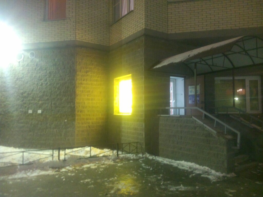 Petshop Dzhim, Saint‑Petersburg, foto