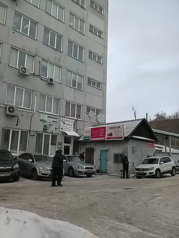Bahçecilik dernekleri ve kuruluşları SNT Pyat ozer, Novosibirsk, foto