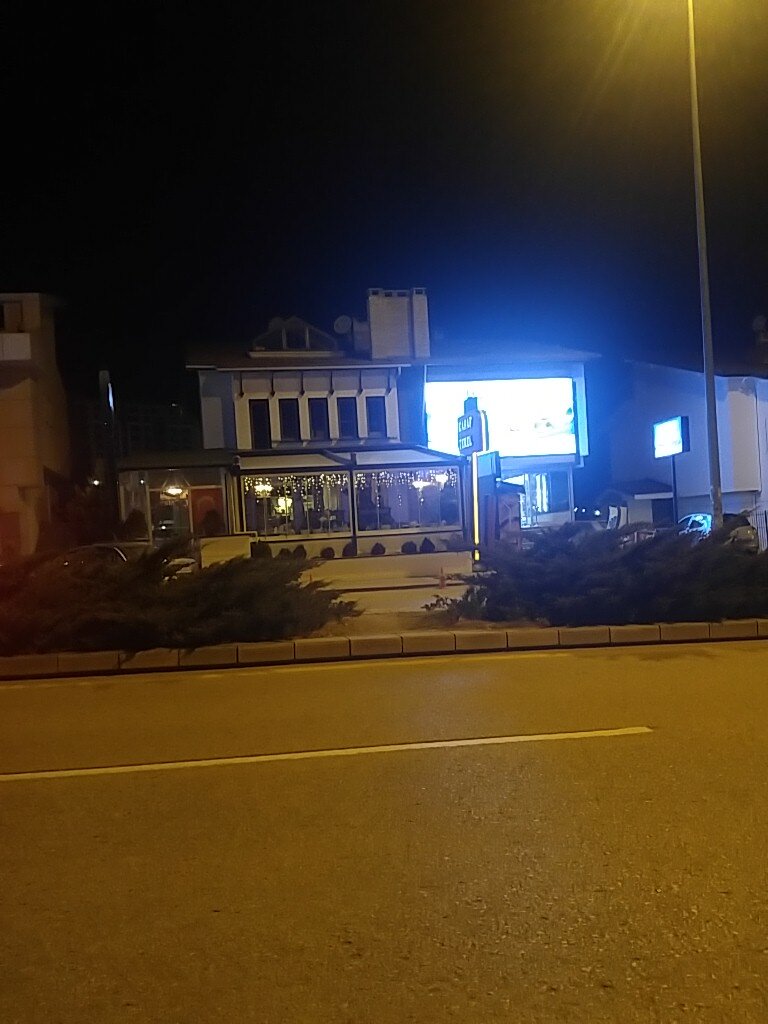 Bar Denizkabuğu, Ankara, foto
