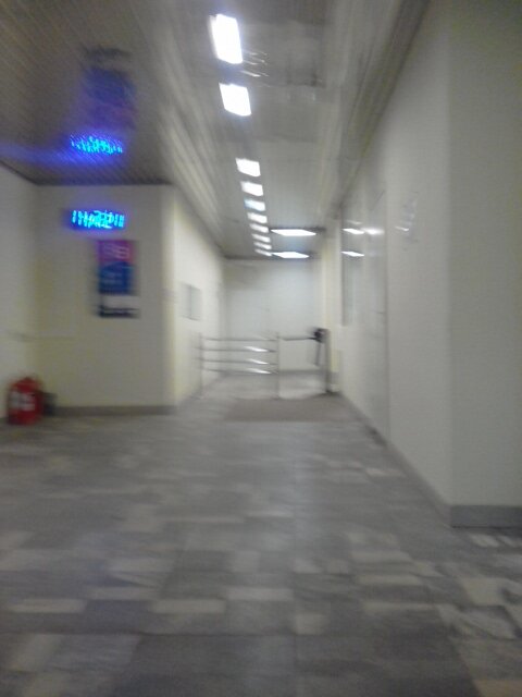 Yem ve yem katkı maddeleri Absolyut AGRO, Moskova, foto