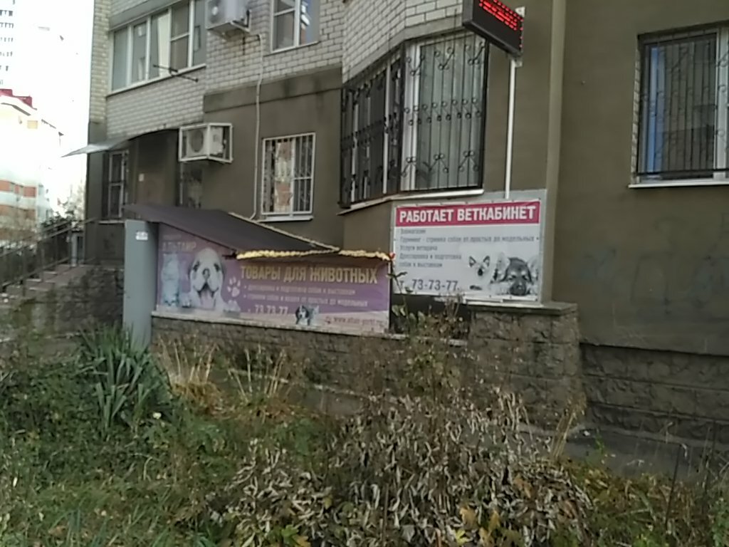Veteriner klinikleri Skolzh Altair, Stavropol, foto
