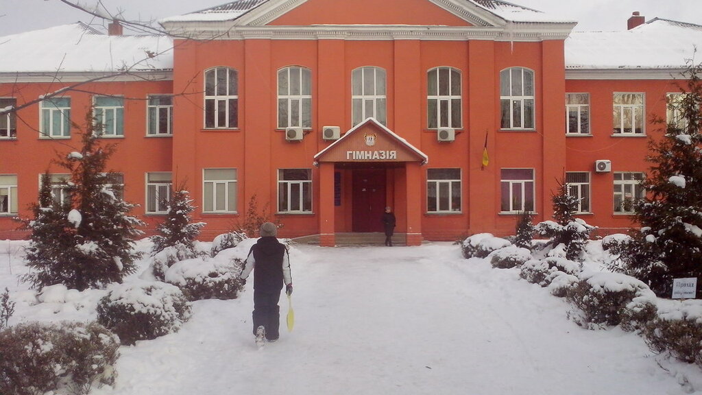 Fen lisesi, sosyal bilimler lisesi Brovarskaya gimnaziya im. S. I. Oliynyka, Brovary, foto
