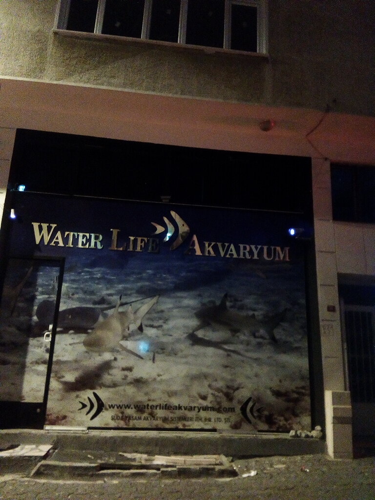 Akvaryumlar Watelife Akvaryum, İstanbul, foto