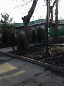 Lisova Polyana Kafe (Парковая улица No:13А, Саксаганский район), kafe  Krivoi Rog'dan