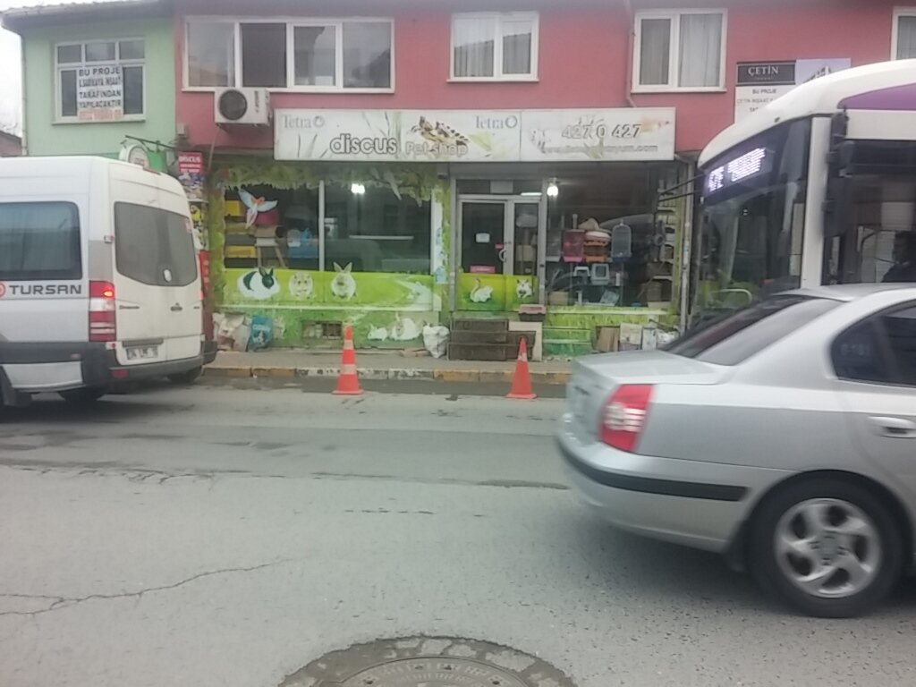 Akvaryumlar Discus Akvaryum, İstanbul, foto