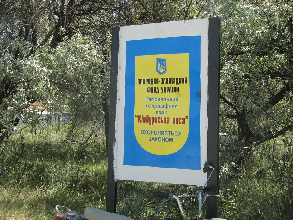 Yaz kampı Palatochny lager Romantika, Nikolayev Bölgesi, foto