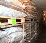 Vinograd Odessa (Лабораторная улица No:17, дачный посёлок Червоный Хутор), sera ve bahçe ürünleri  Odessa Bölgesi'nden