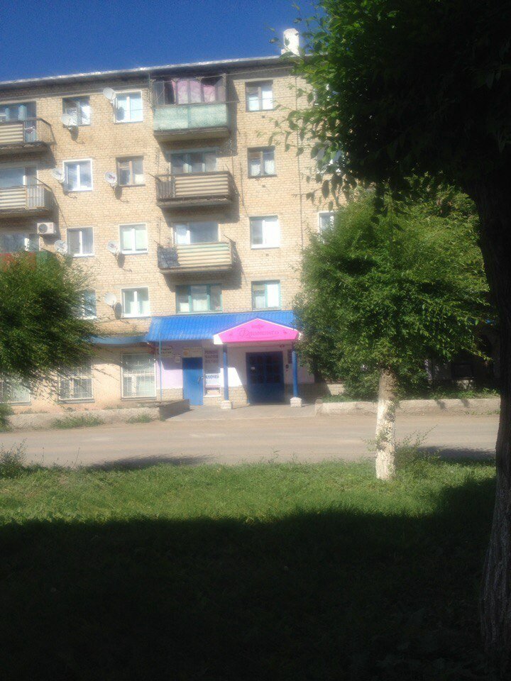 Bar Bar Flamingo, Saratovskaya oblastı, foto