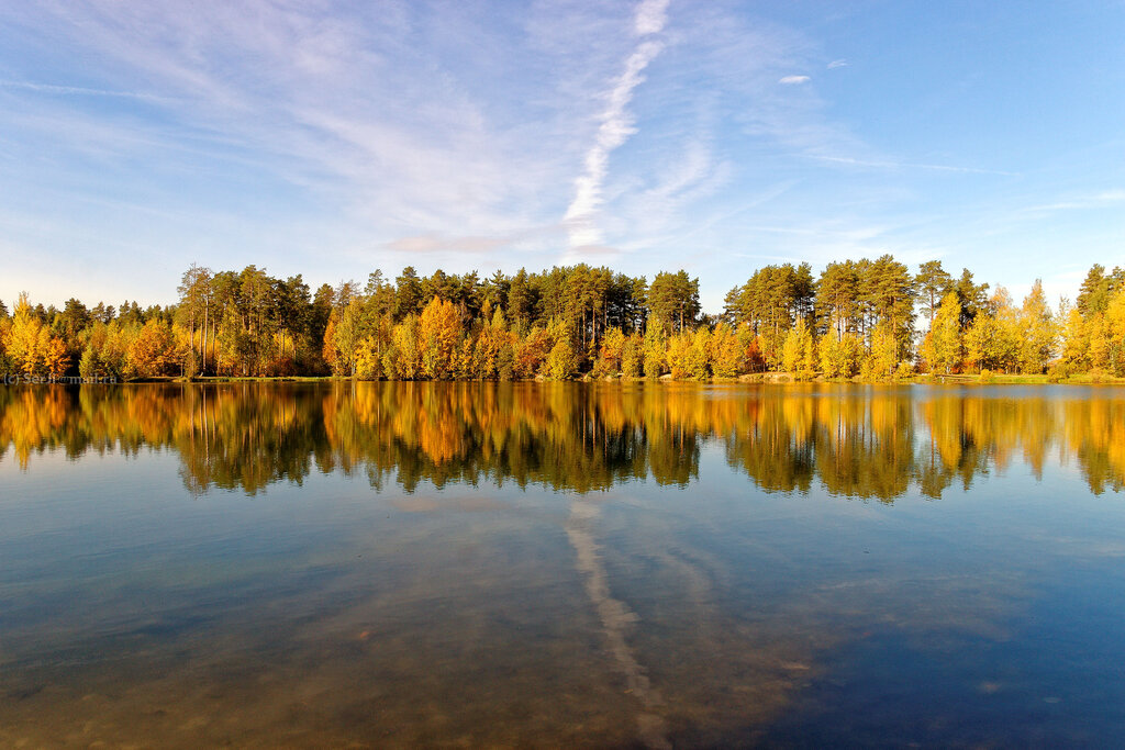 Kafe Кафе, Moskova ve Moskovskaya oblastı, foto