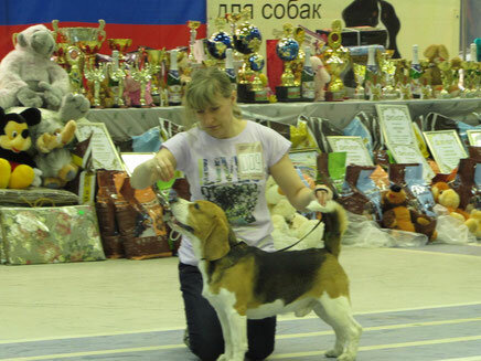 Evcil hayvan yetiştiricileri Pitomnik of Sanktum, Kurgan, foto