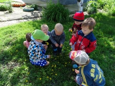 Anaokulları Mbdou Verkhneoblivsky d/sad, Rostovskaya oblastı, foto