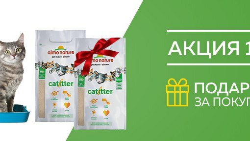 Petshop Korma po karmanu, Uhta, foto