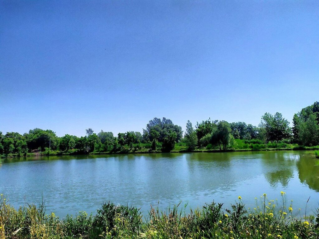 Tatil altyapısı Dacha Kamish Samarqan, Semerkant, foto