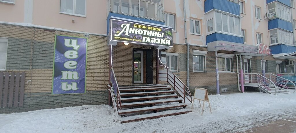 Çiçekçiler Анютины глазки, Kstovo, foto