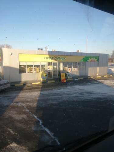 Benzin istasyonu Rosneft', Çeliabinskaya oblastı, foto