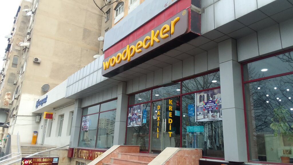 Mobilya mağazaları Woodpecker, Bakü, foto