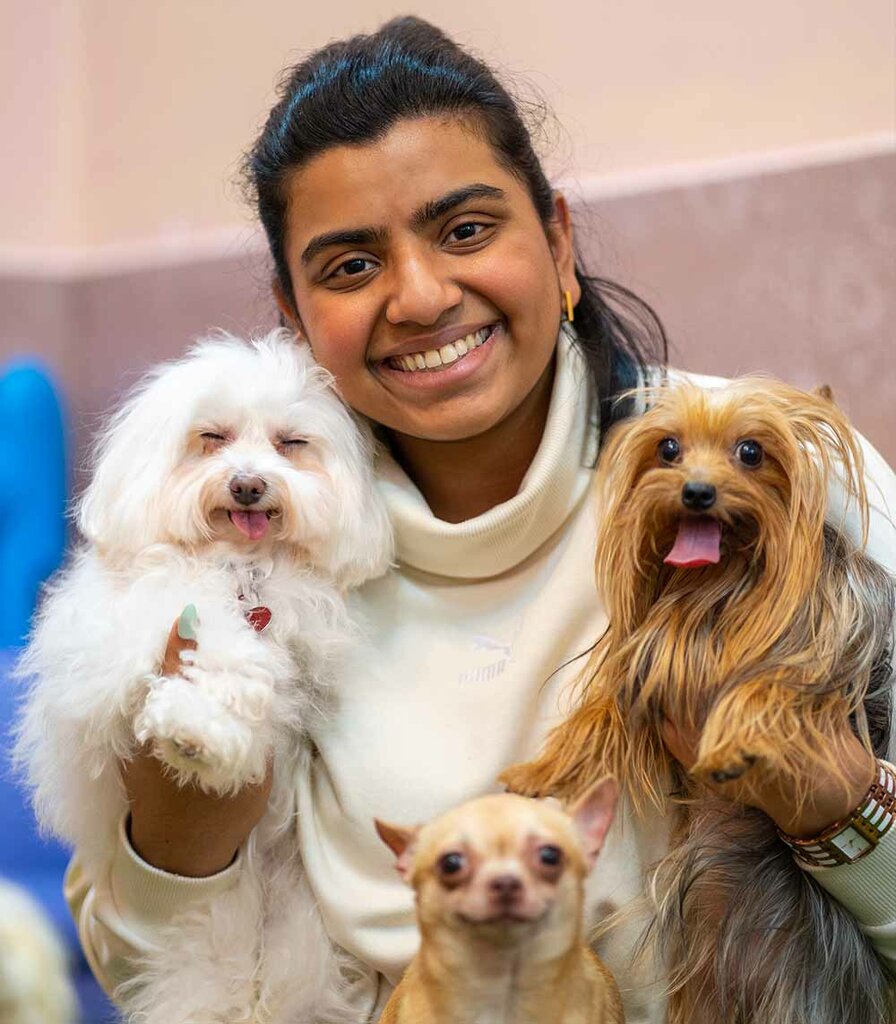 Veteriner klinikleri Pets Oasis Veterinary Clinic, Abu Dabi, foto