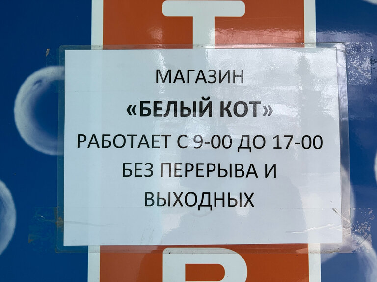 Petshop Белый Кот, Kırım Cumhuriyeti, foto