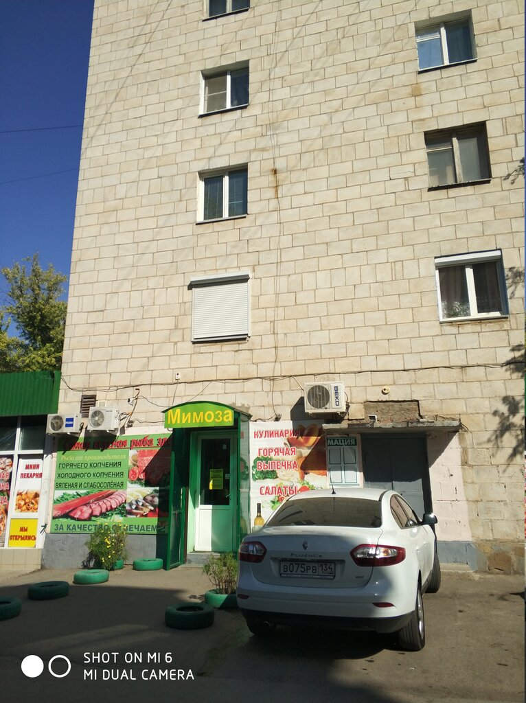 Market Мимоза Ганеша, Voljski, foto