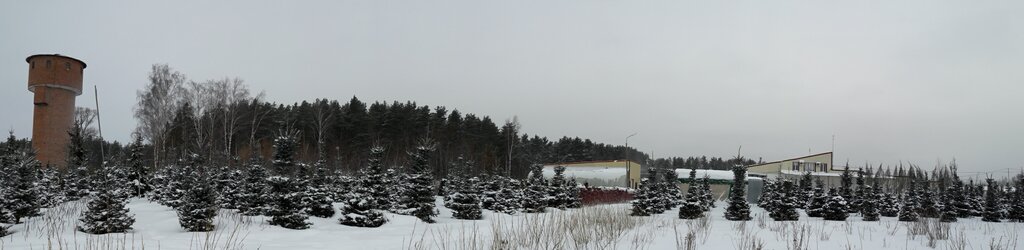 Tarım ürünleri firmaları BogorodskSelkhozKompleks, Moskova ve Moskovskaya oblastı, foto