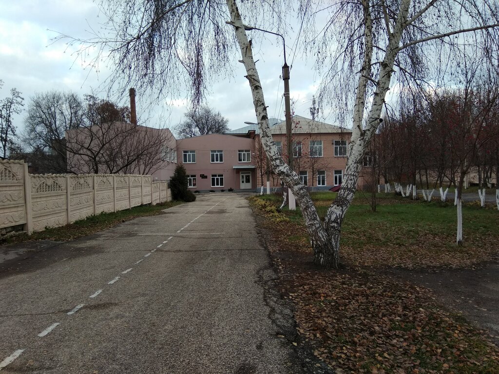 Ortaokul Школа № 17 имени Т.Н. Хренникова, корпус № 1, Yelets, foto