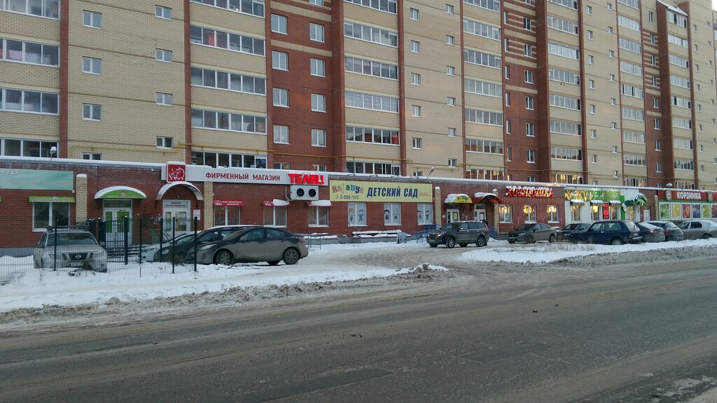 Anaokulları Tsentr razvitiya rebenka Lvenok, Perm, foto