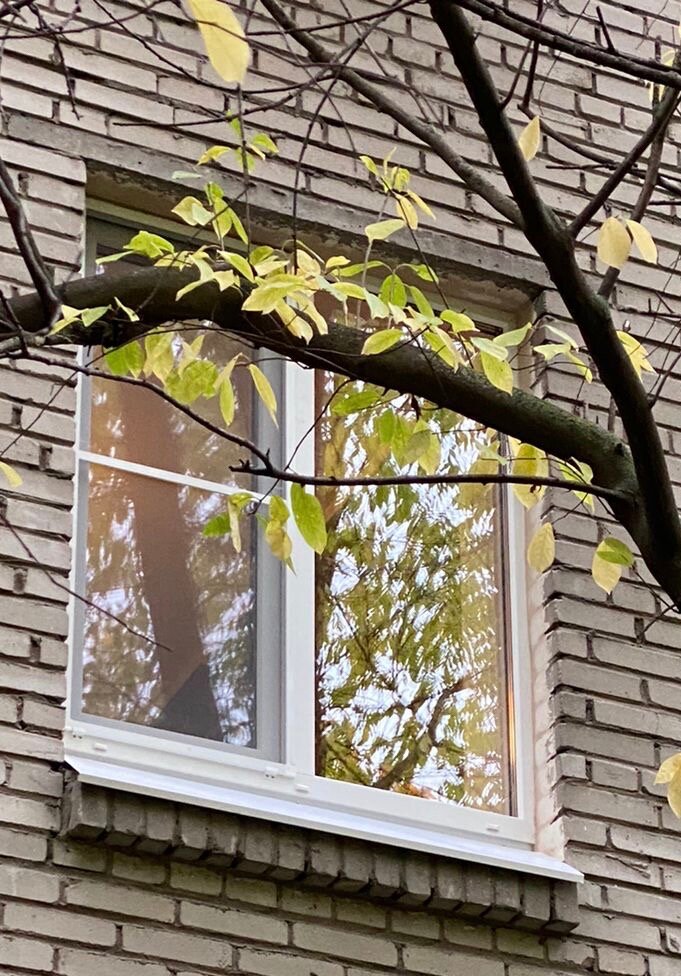 Pencere üretim, satış ve montaj firmaları LenOkna, Saint‑Petersburg ve Leningradskaya oblastı, foto