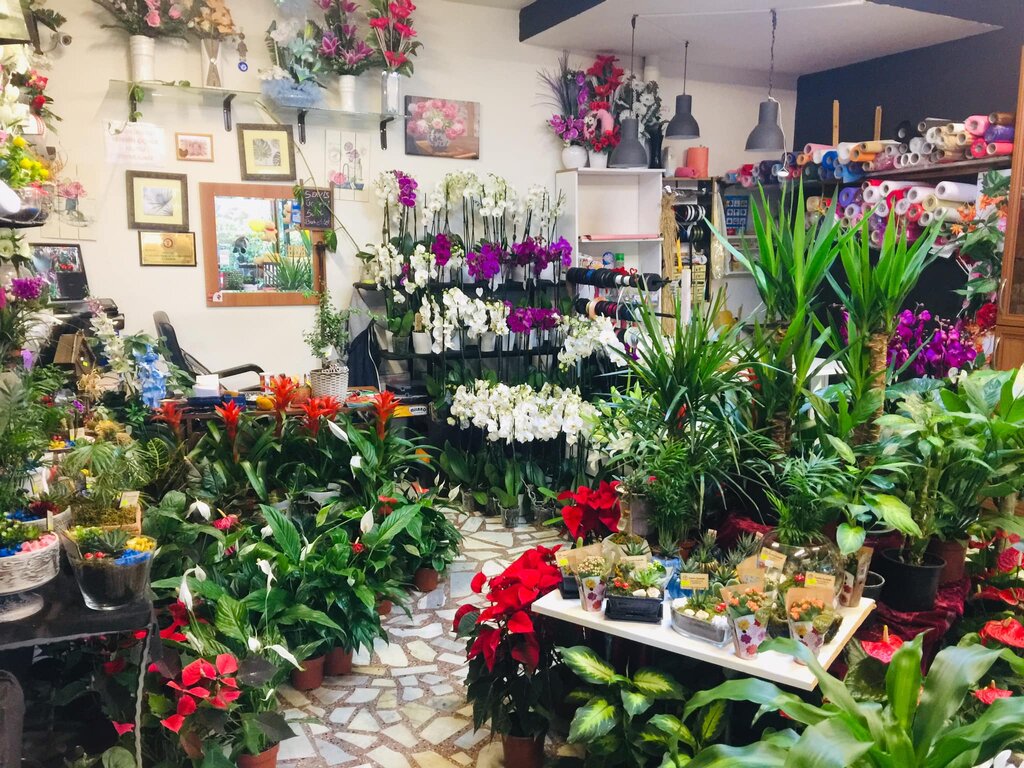 Çiçekçiler İçmeler Çiçekçilik, Marmaris, foto