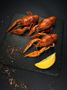 Барракуда (ulitsa Montazhnikov No:3/4, Festivalny mikrorayon), bar  Krasnodar'dan