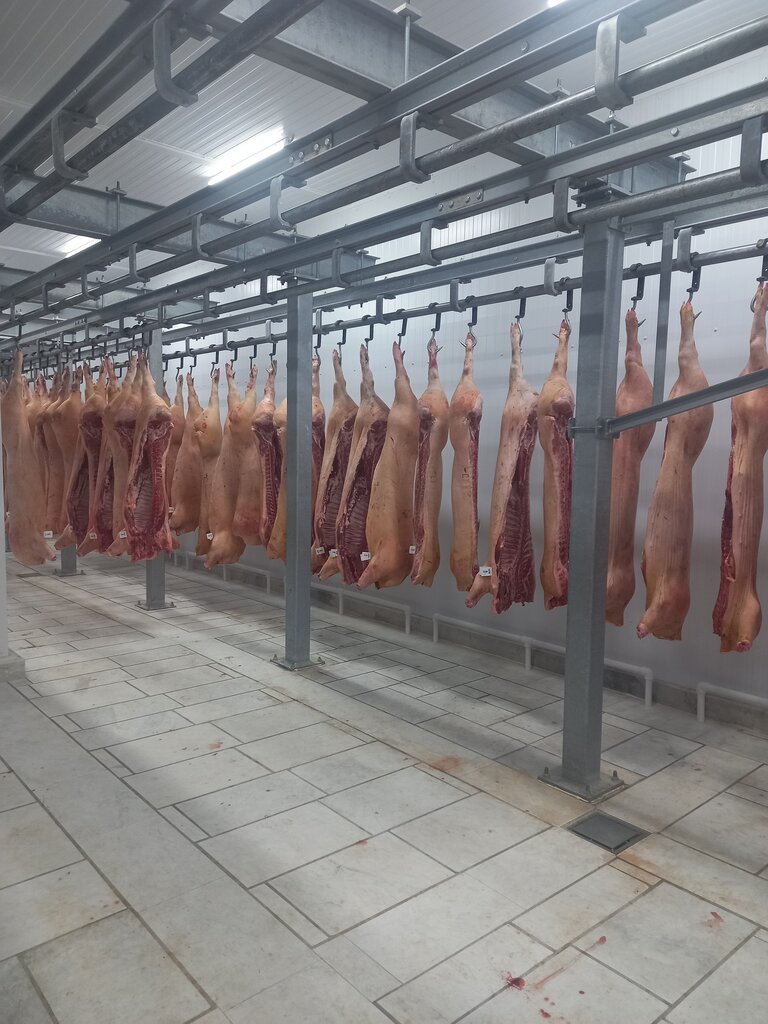 Toptan et ürünleri Пионер, Samarskaya oblastı, foto