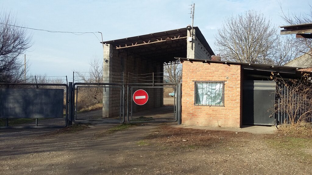 Un ve tahıllar Vega Plyus, Krasnodarski krayı, foto