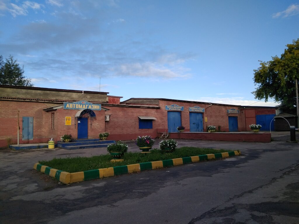 Otomobil servisi Predprinimatel Kadushkin O. P., Voskresensk, foto